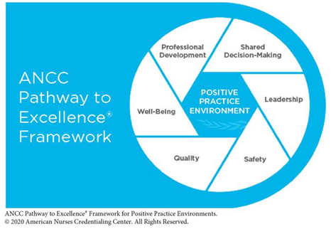 The ANCC Pathway to Excellence Program