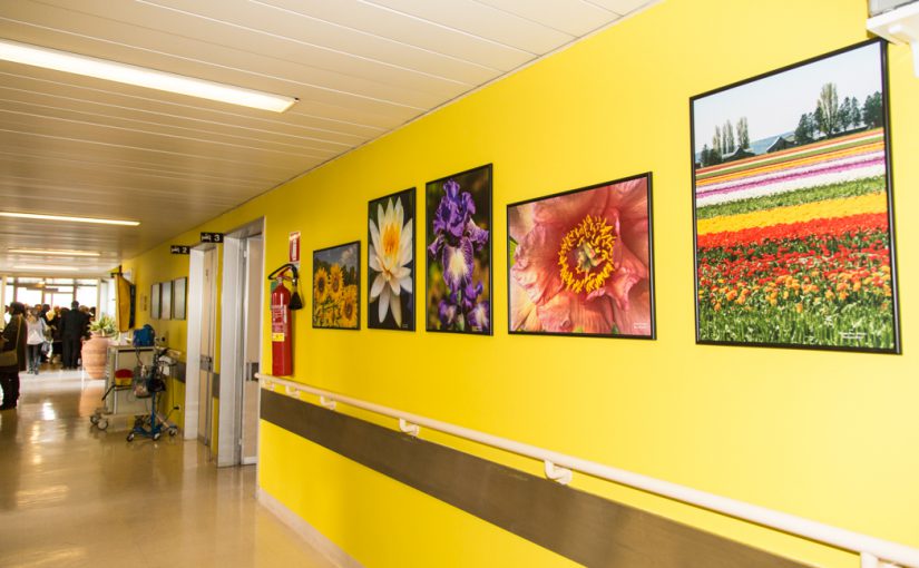 Art In Hospitals Could Improve Patient Satisfaction